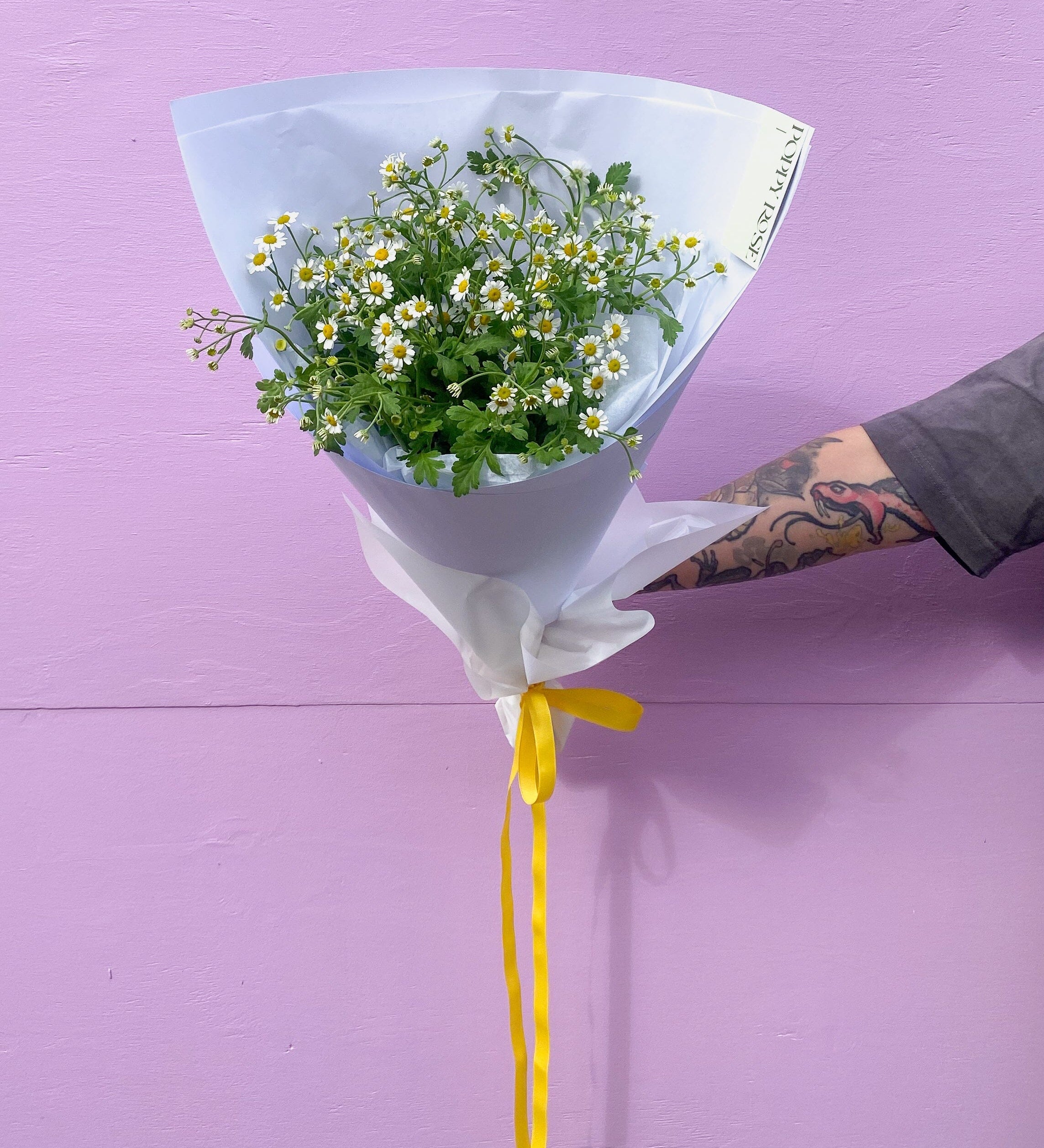 Flower Delivery Brisbane - Poppy Rose - Brisbane Florist